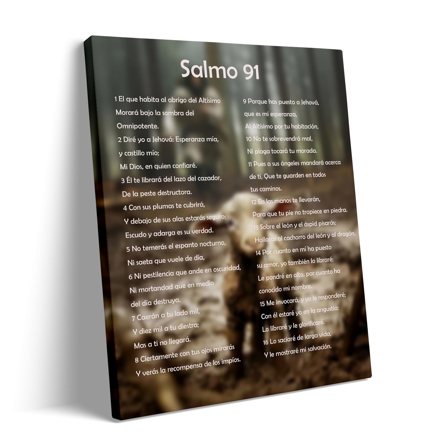 Salmo 91 En Español Para Pared, Psalm 91 Wall Art – P&L Art